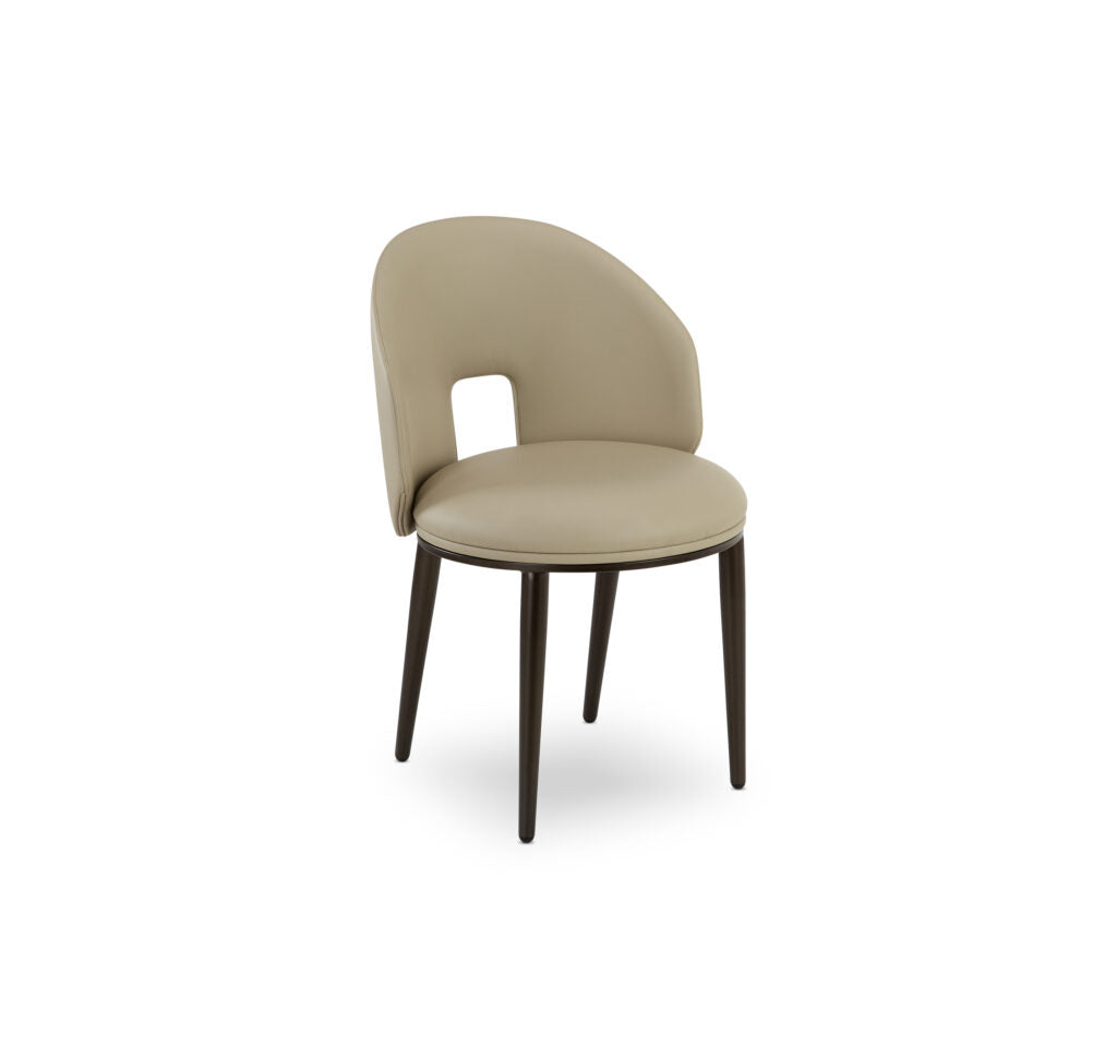 Sophisticated Clay Dining Chair by Elite Modern – Modern Studio