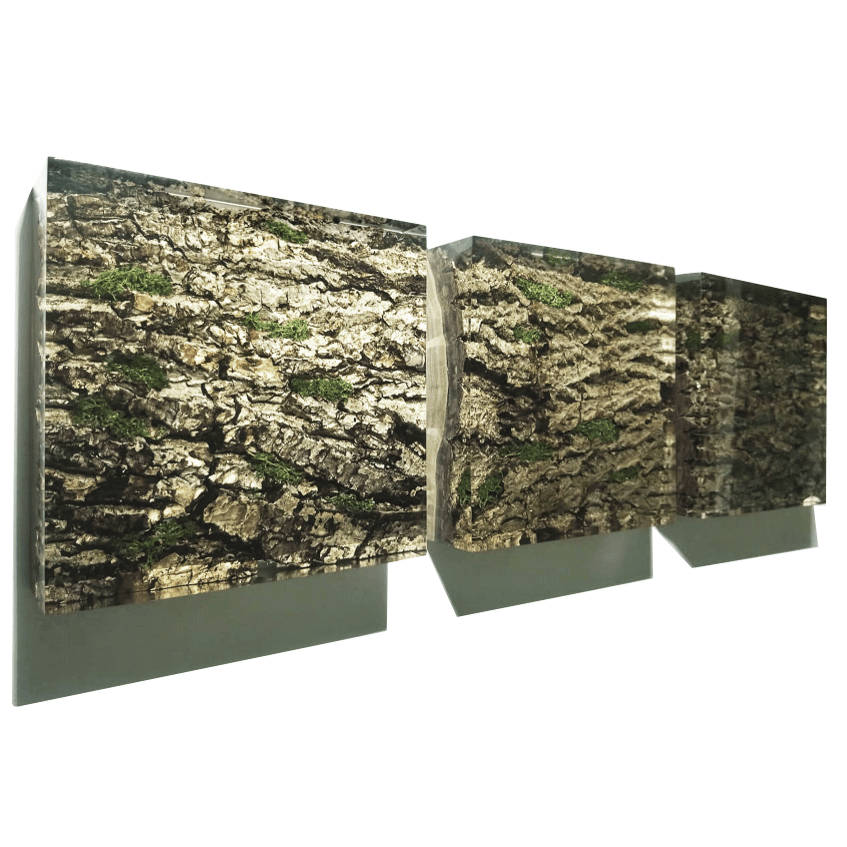 Arditi Collection | Bark Wall Art – Modern Studio