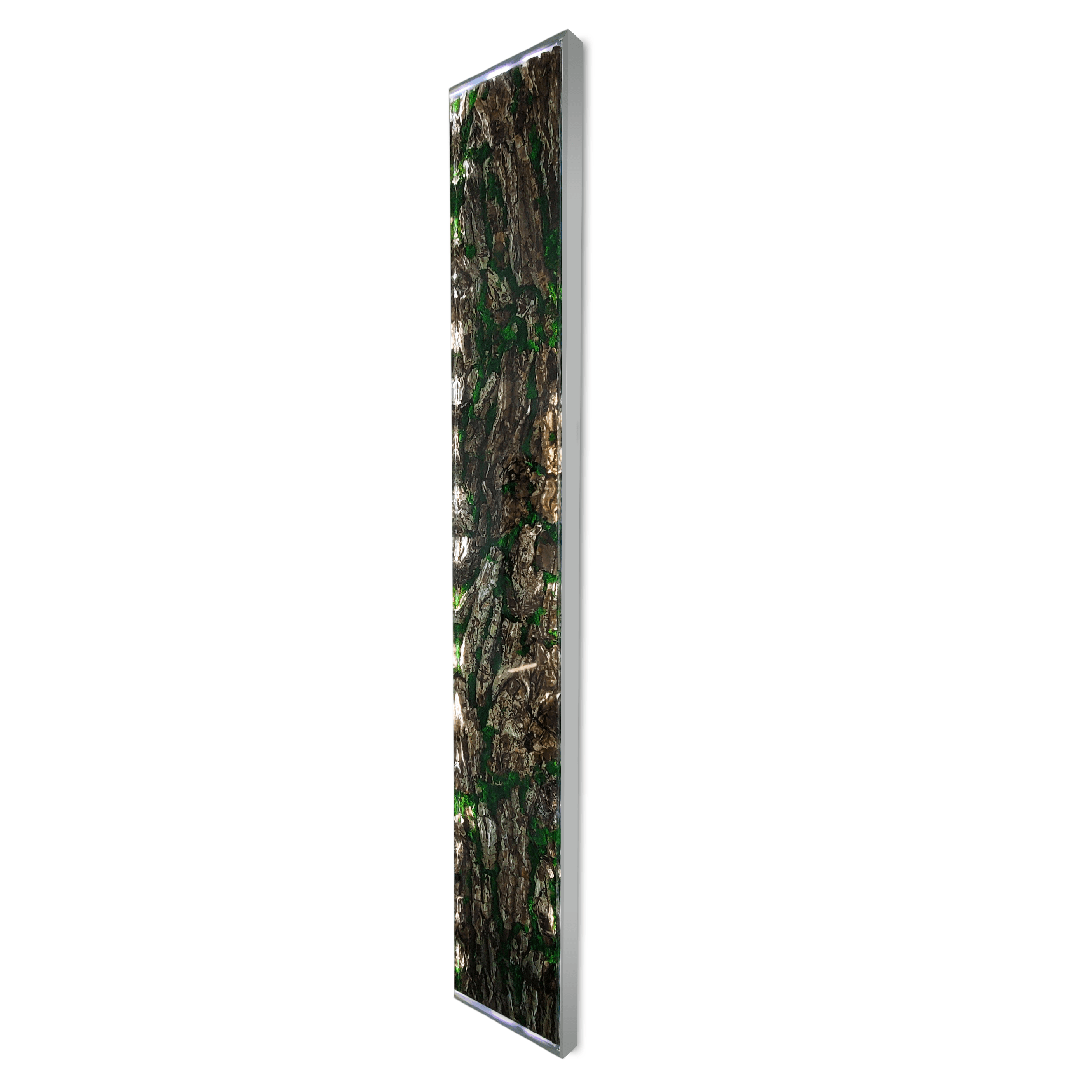 Arditi Collection | Jungle Wall Art – Modern Studio