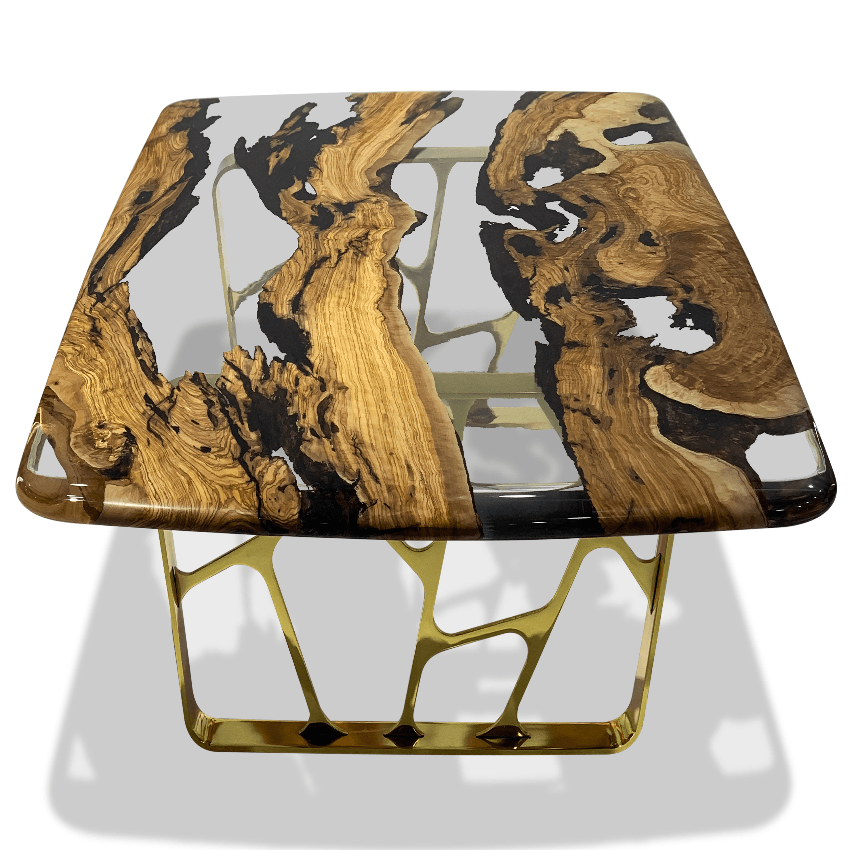 Arditi Collection | Ombrone Olive Wood Squoval Coffee Table – Modern Studio